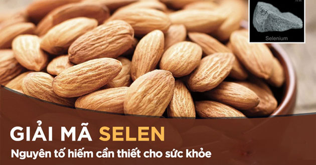 Selen là chất gì? Những tác dụng của Selen với cơ thể - VnAsk.com