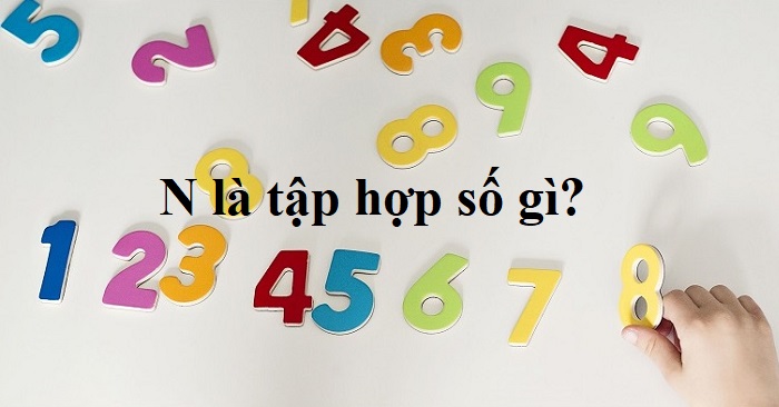 N là tập hợp số gì? Tính chất và ví dụ tập số N - VnAsk.com